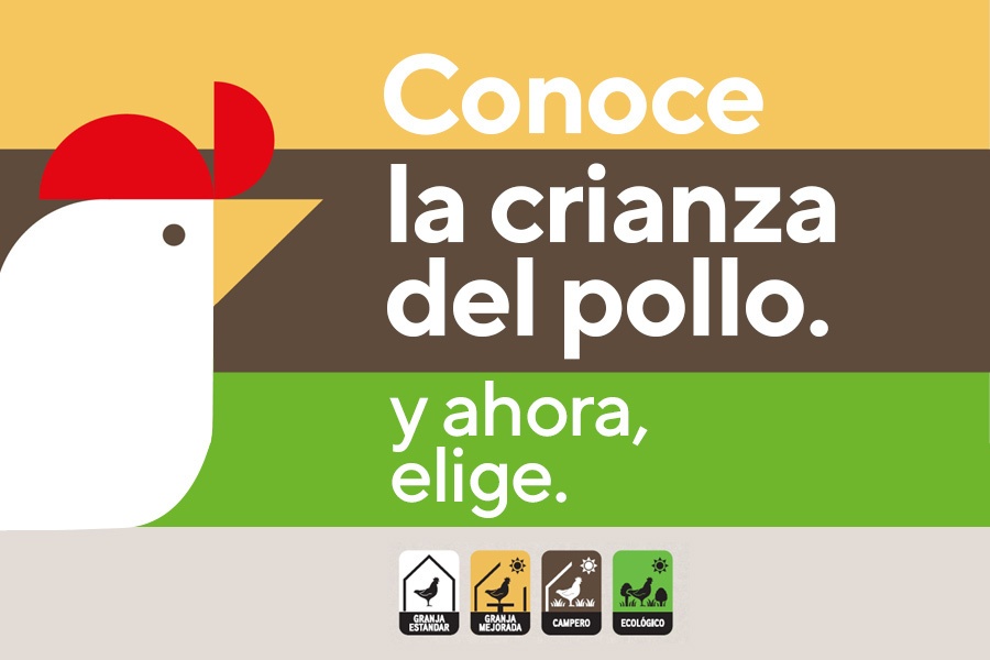 Tipos de pollo según crianza | Caprabo